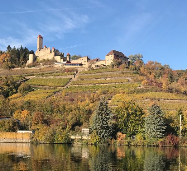 Weingut Geschichte – Burg Hornberg