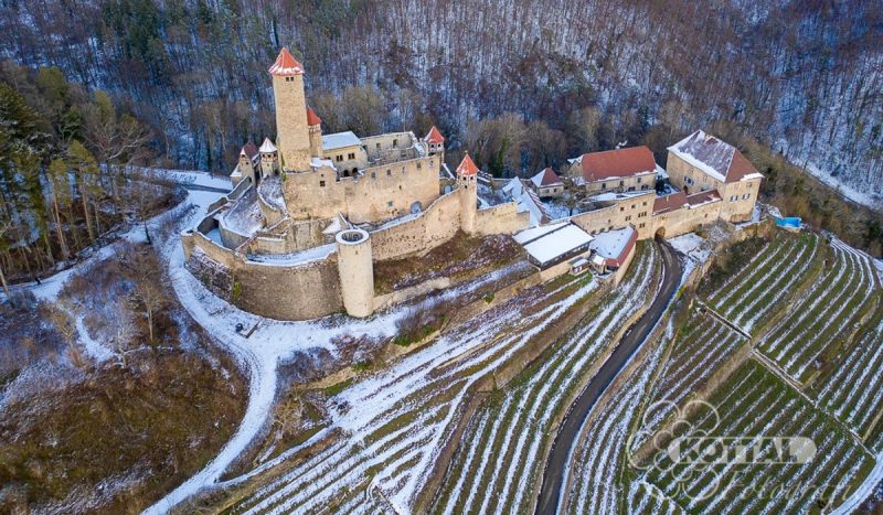 Unsere Weihnachtsweine – perfekt fürs Fest! – Burg Hornberg